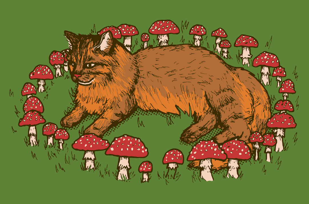 The Best Psychedelic Films That’ll Trip You Out - Strange Comforts